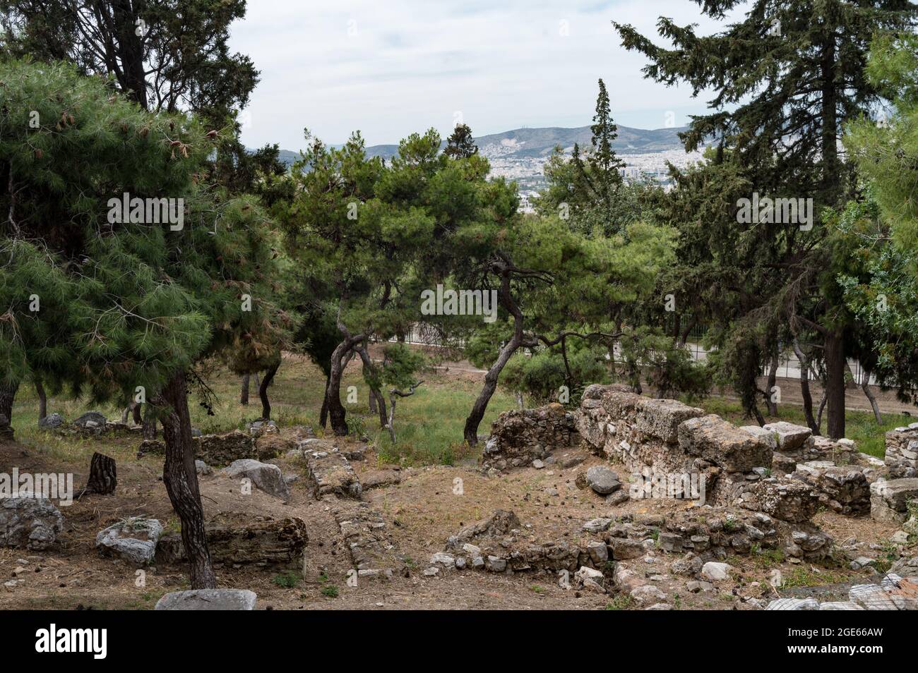 View of slope with curved trees and ancient ruins of Acropolis hill in ...