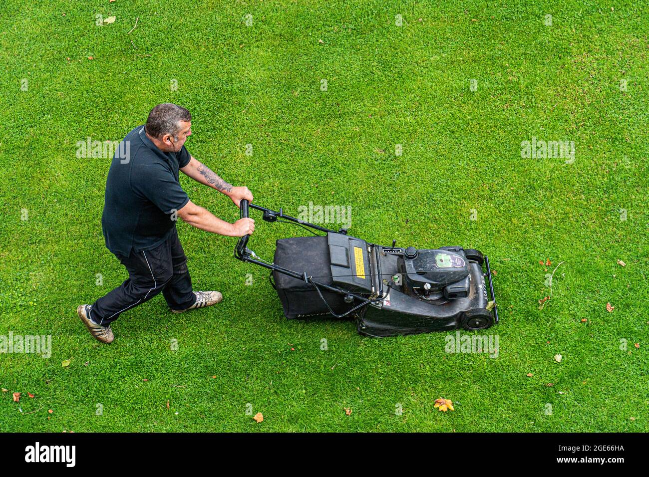 Above shot of man mowing grass in backyard Stock Photo - Alamy
