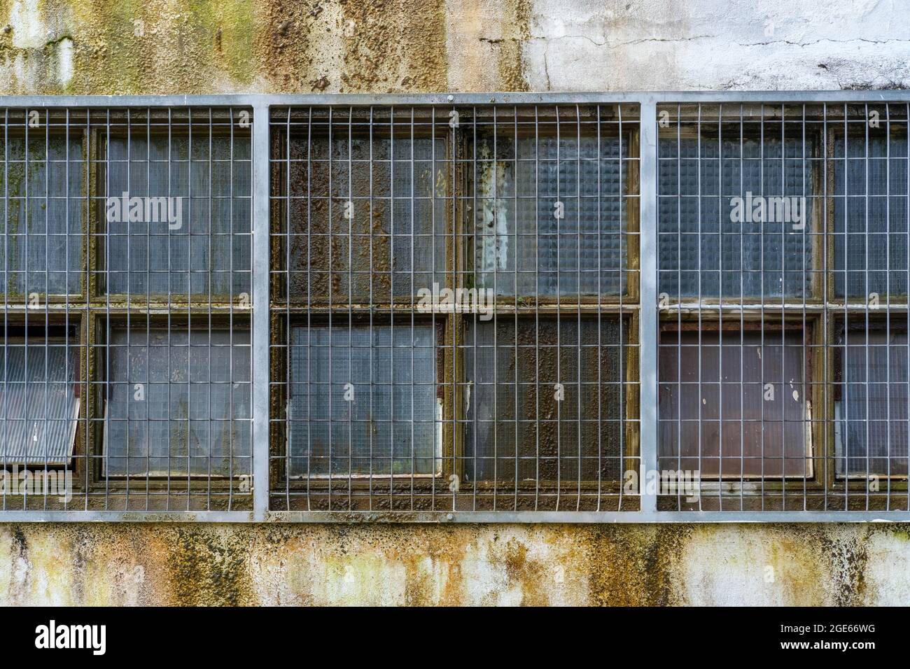 Factory windows covered in slime behind a security grill Stock Photo ...