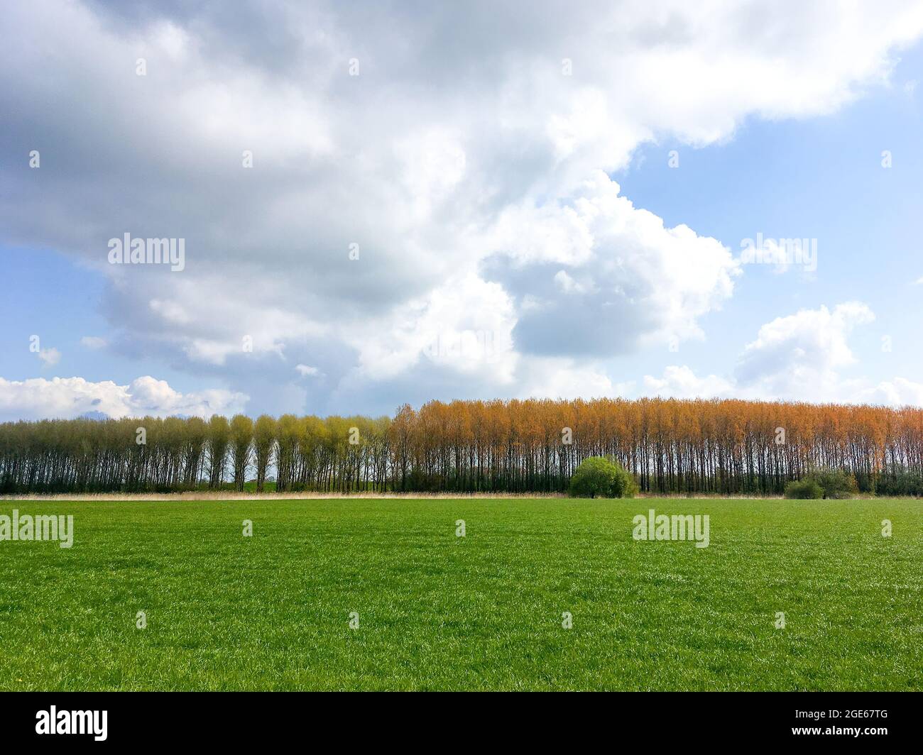 Landscape in Zeeland, The Netherlands Stock Photo - Alamy