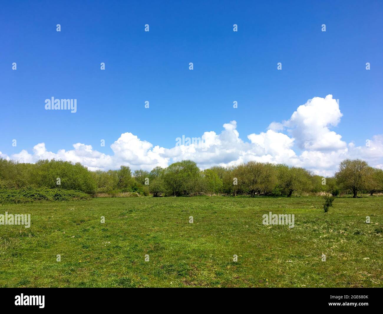 Slikken van de Heen Stock Photo - Alamy