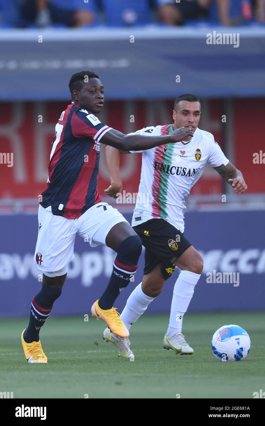 Ebenezer Annan (Bologna)Diego Peralta (Ternana) during the Italian Tim ...