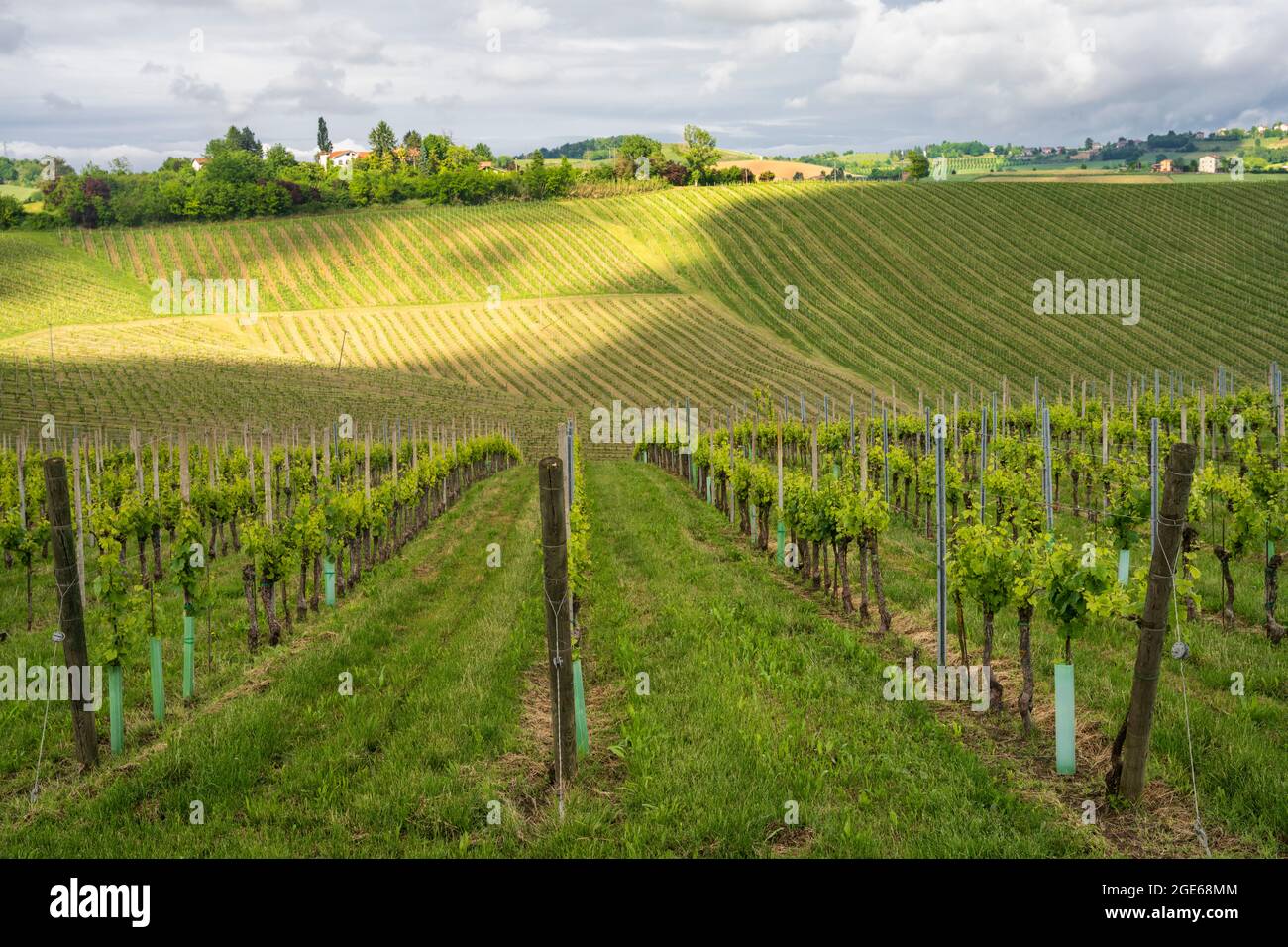Rural landscape in Monferrato, Unesco World Heritage Site, near ...