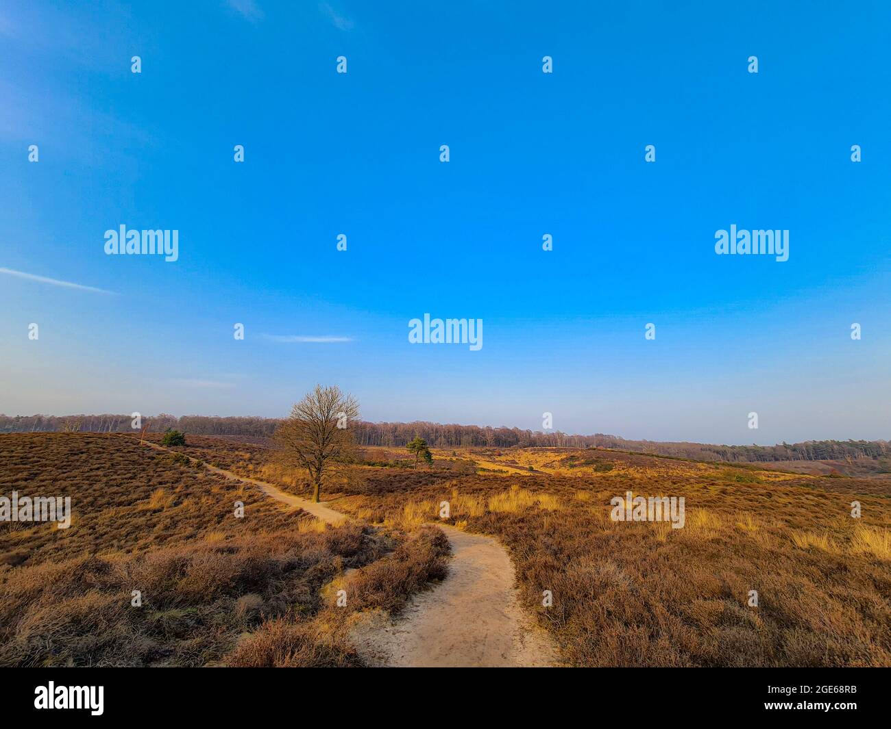 A walk in nature Stock Photo - Alamy