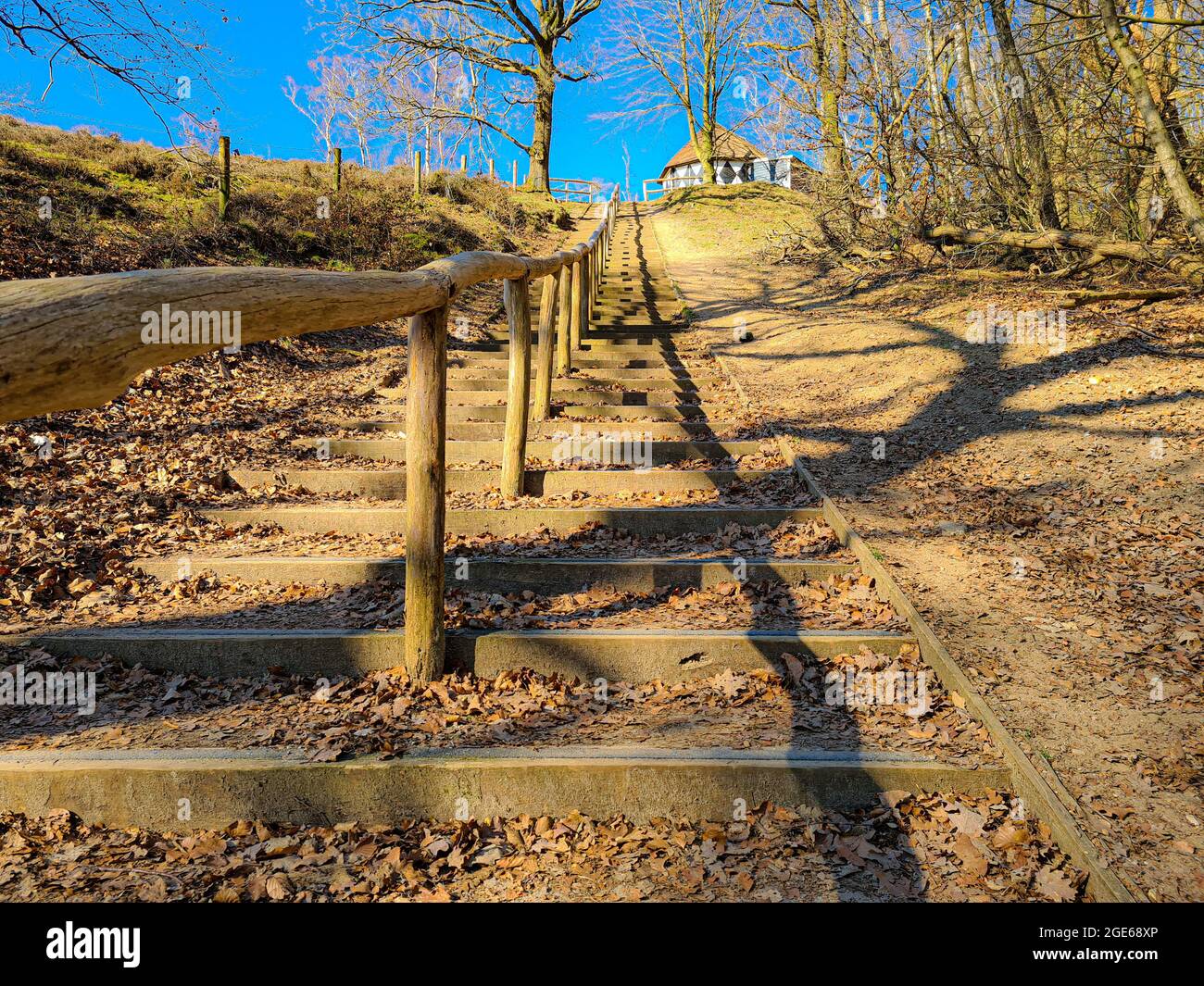 a walk in nature Stock Photo - Alamy