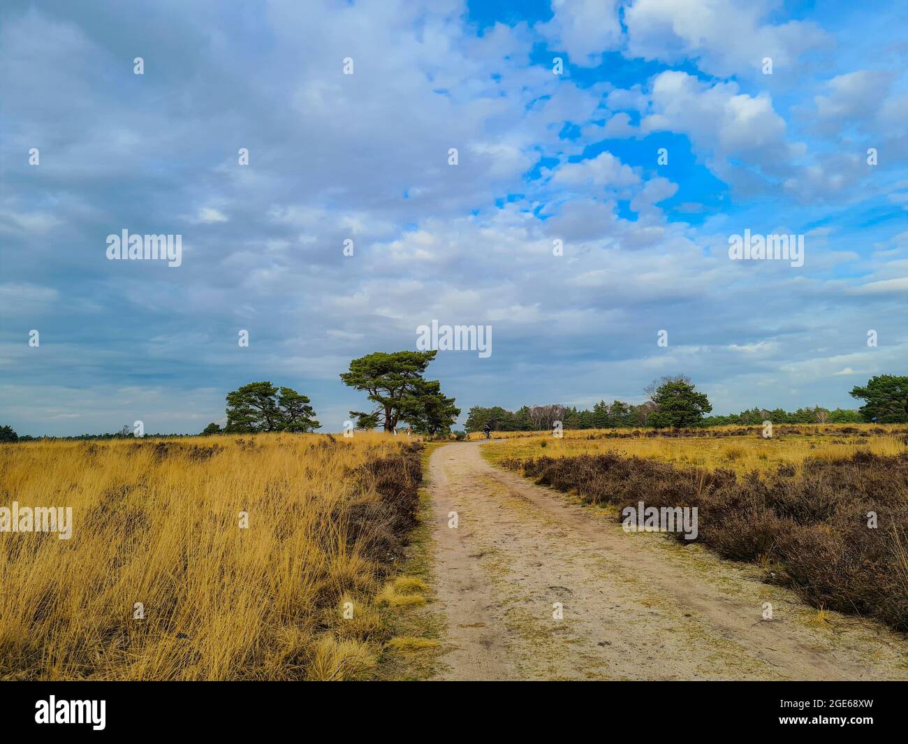 A walk in nature Stock Photo - Alamy