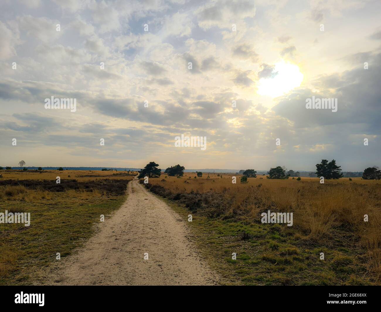 A walk in nature Stock Photo - Alamy