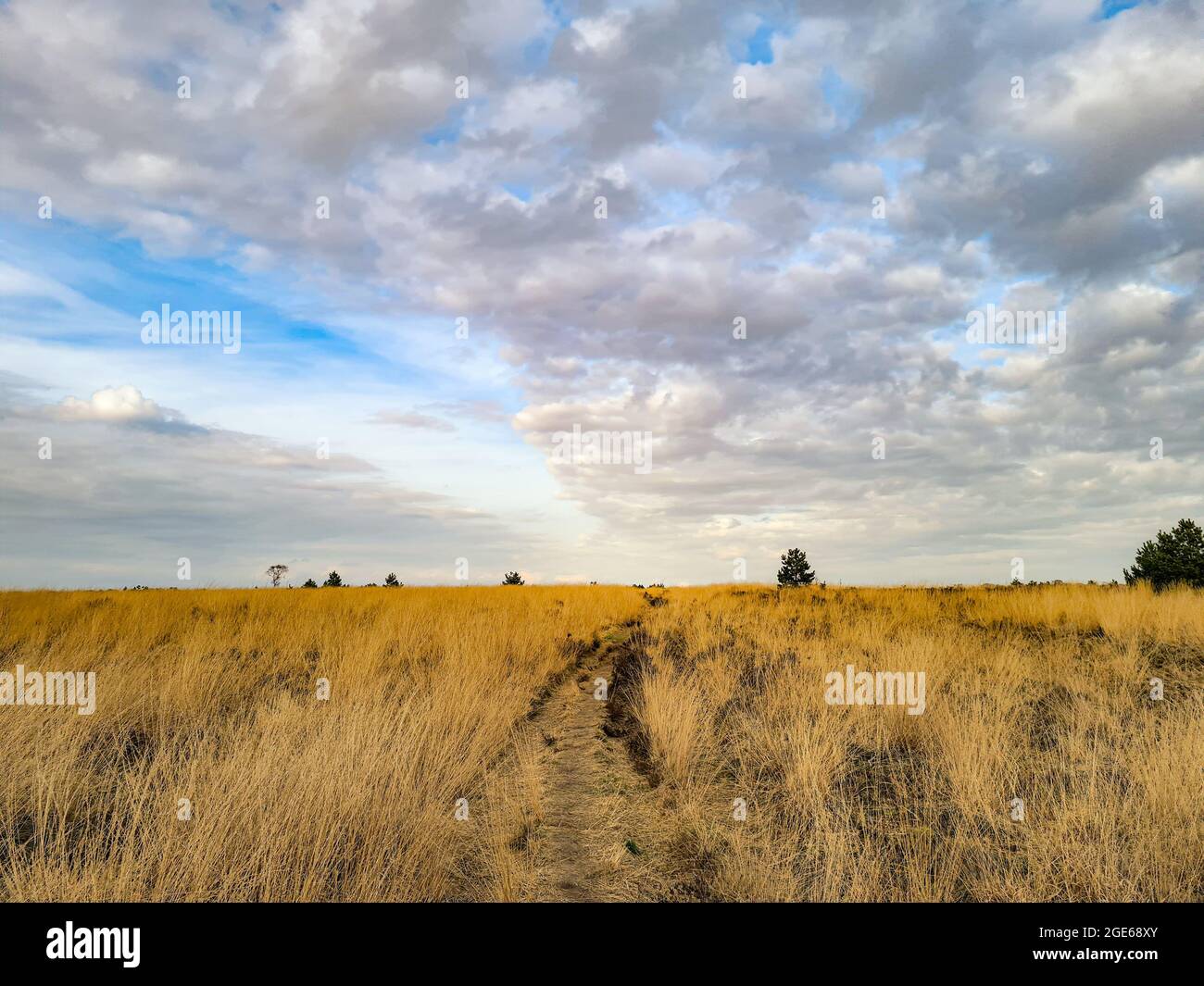 A walk in nature Stock Photo - Alamy