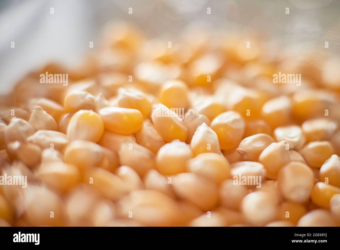 photo of approach to corn kernels Stock Photo - Alamy