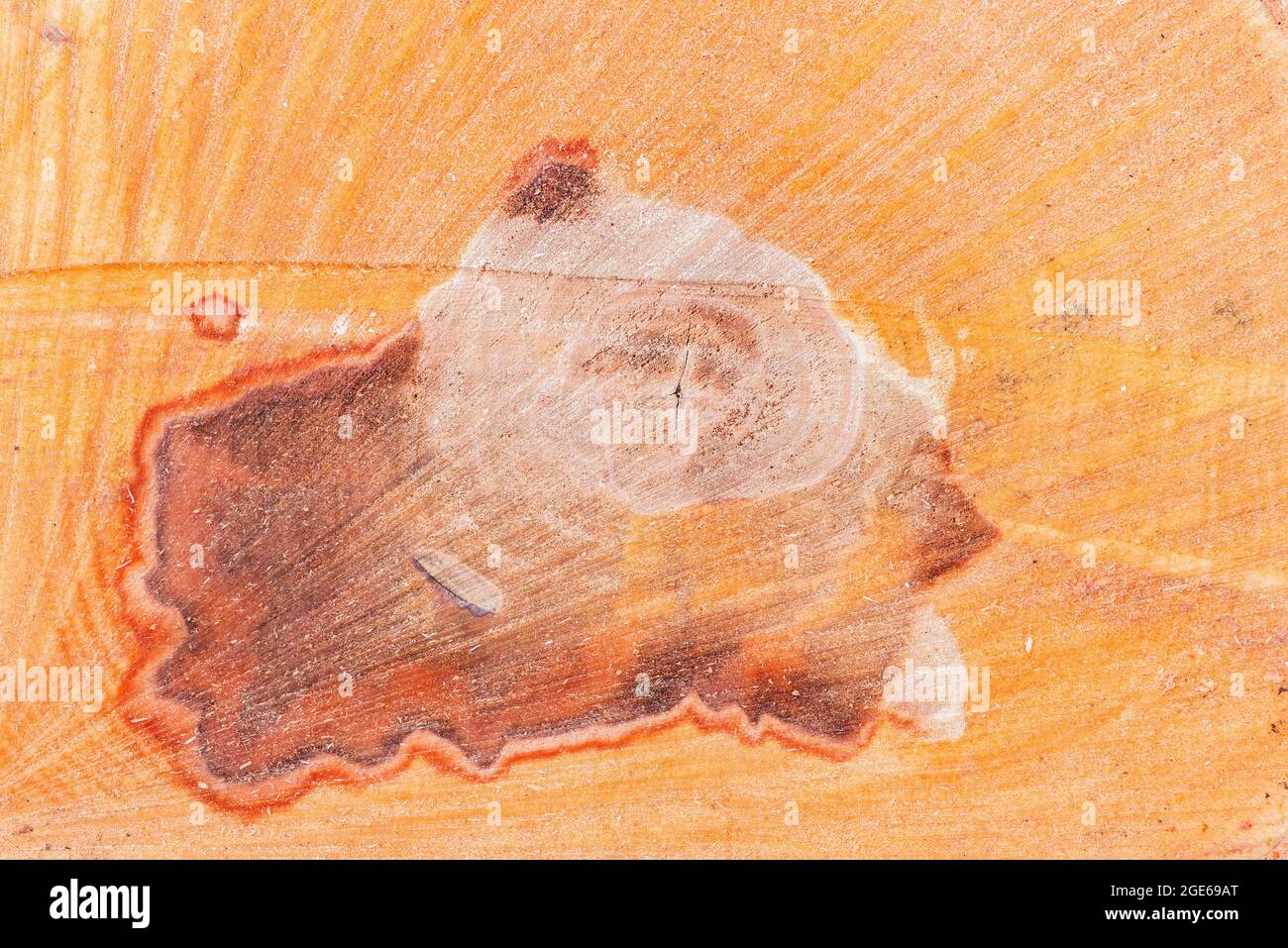 Slice of wood timber natural background Stock Photo - Alamy