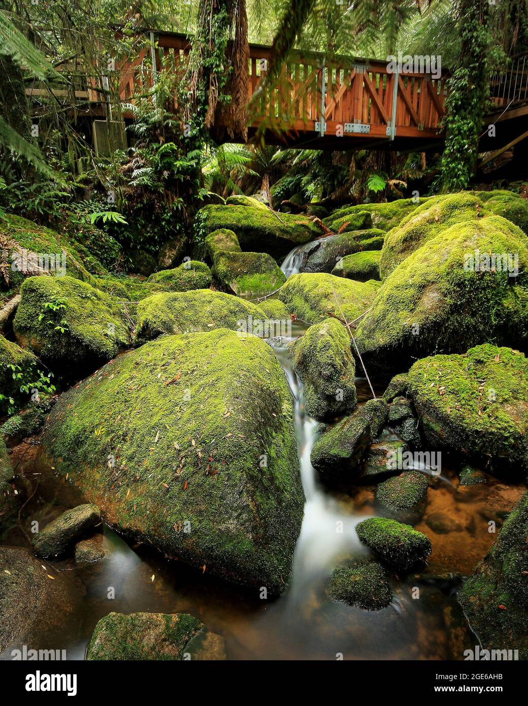 Piper rocks hi-res stock photography and images - Alamy