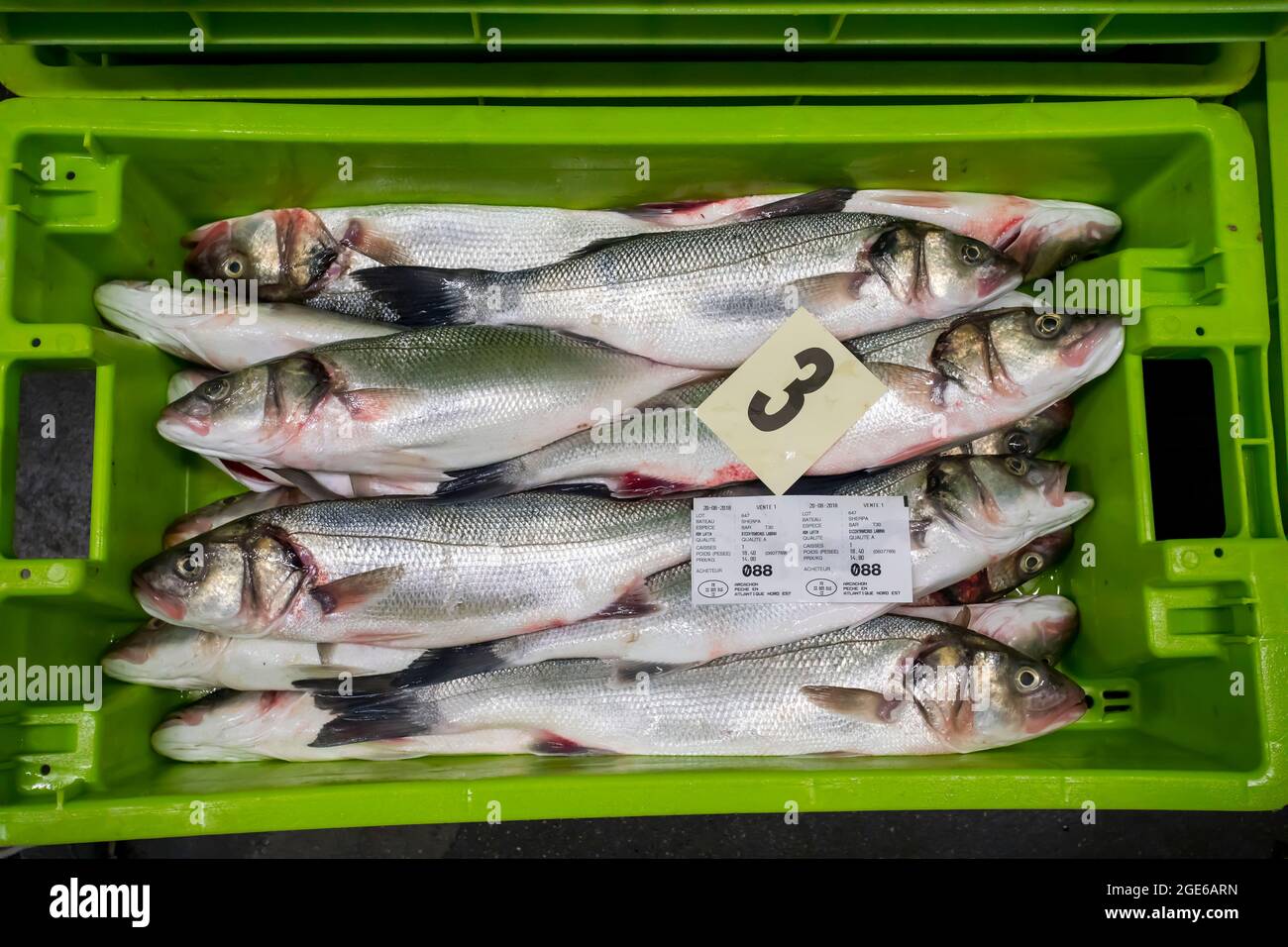 Arcachon (south western France): batches of fish in the auction room ...