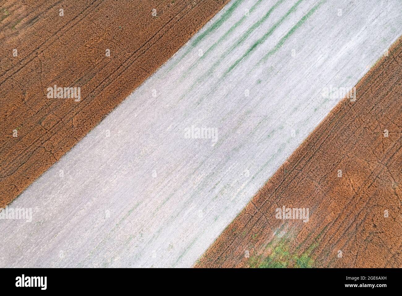 Aerial top down drone shot of interesting pattern on a rural ...