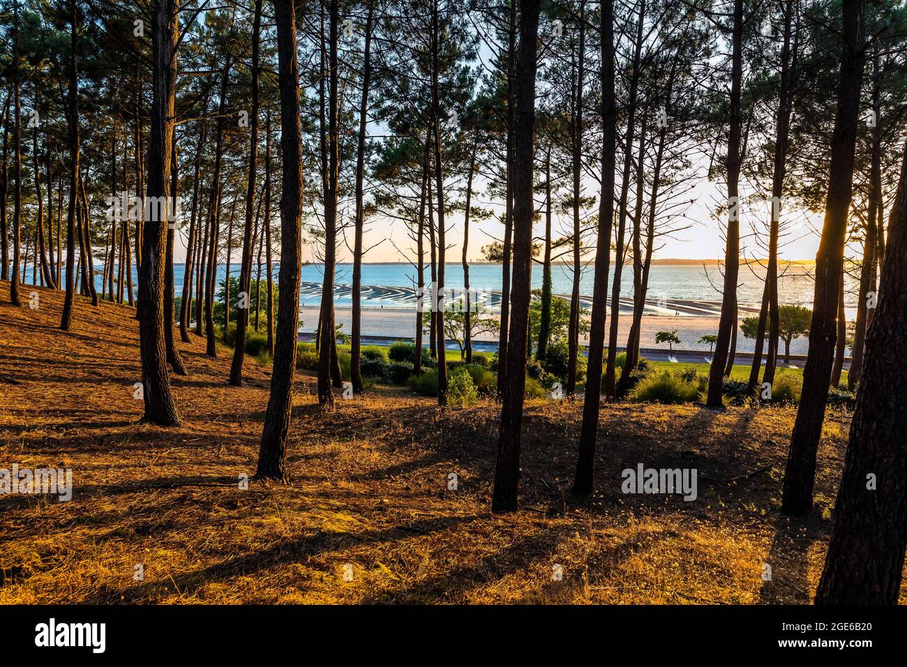 Arcachon (south western France): sunset over the Arcachon Bay viewed ...