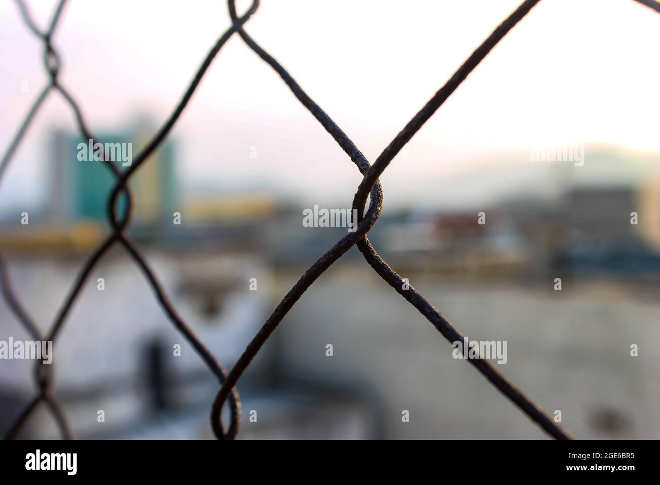 Wire netting installed for fence barrier Stock Photo - Alamy