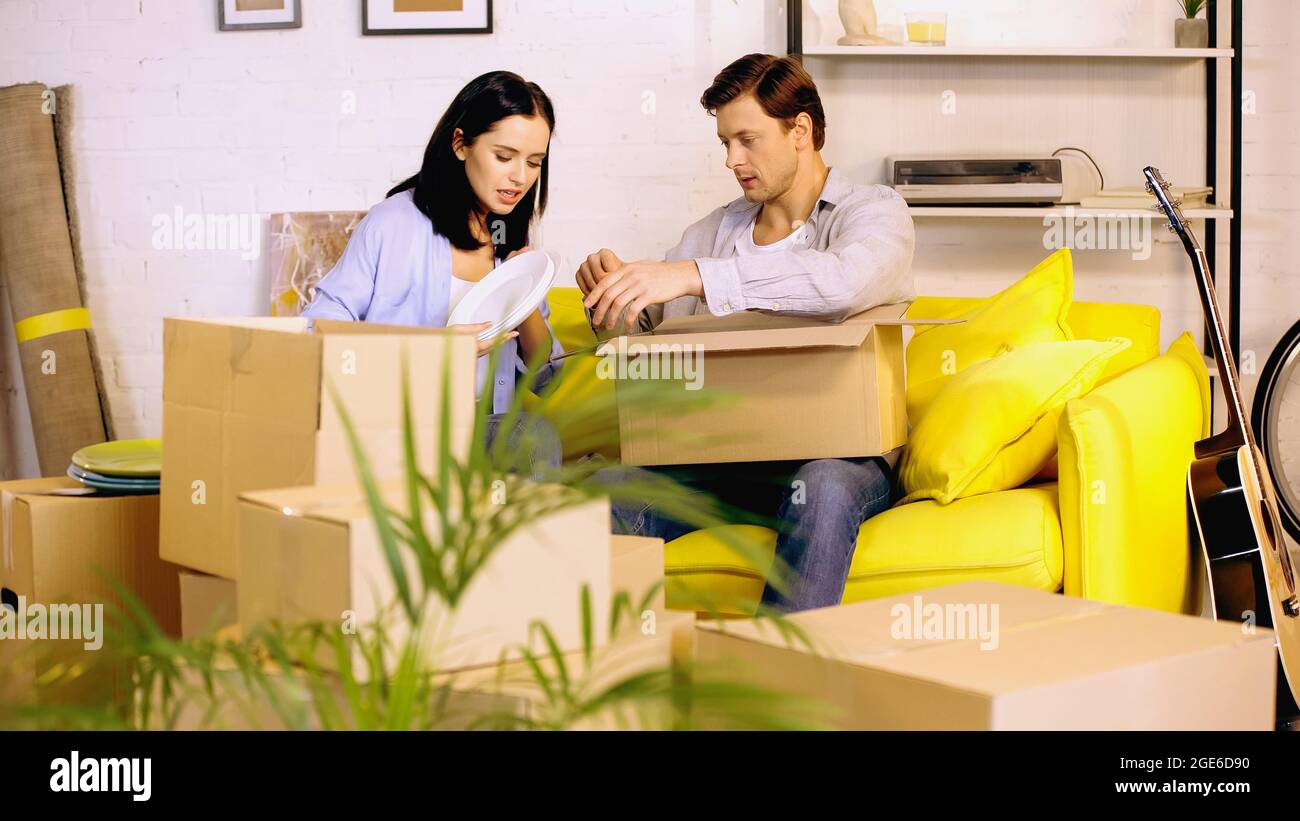 man and woman packing plates in carton boxes on couch,stock image Stock ...