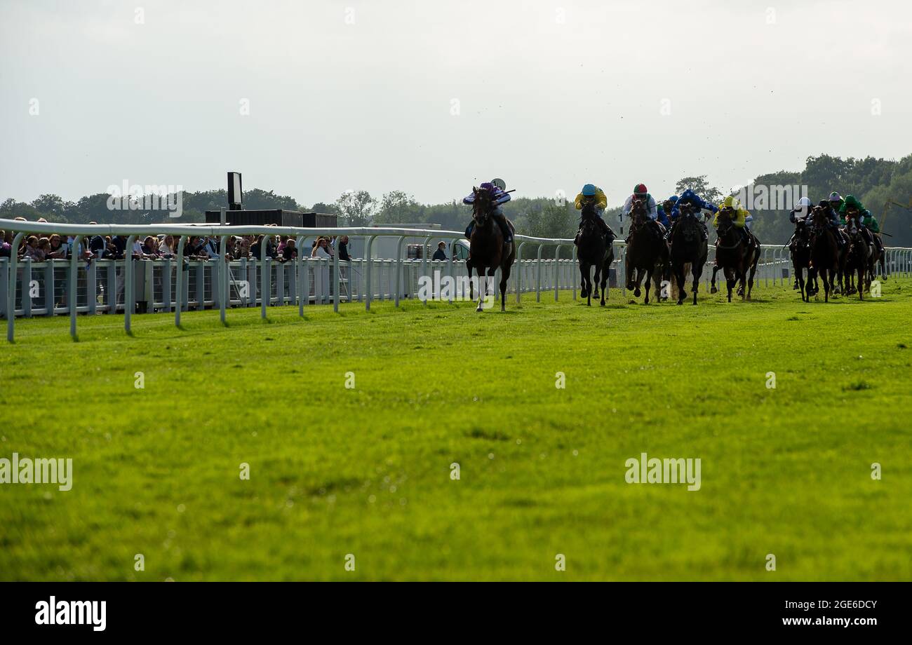 British stallion studs ebf maiden stakes windsor racecourse hi-res ...