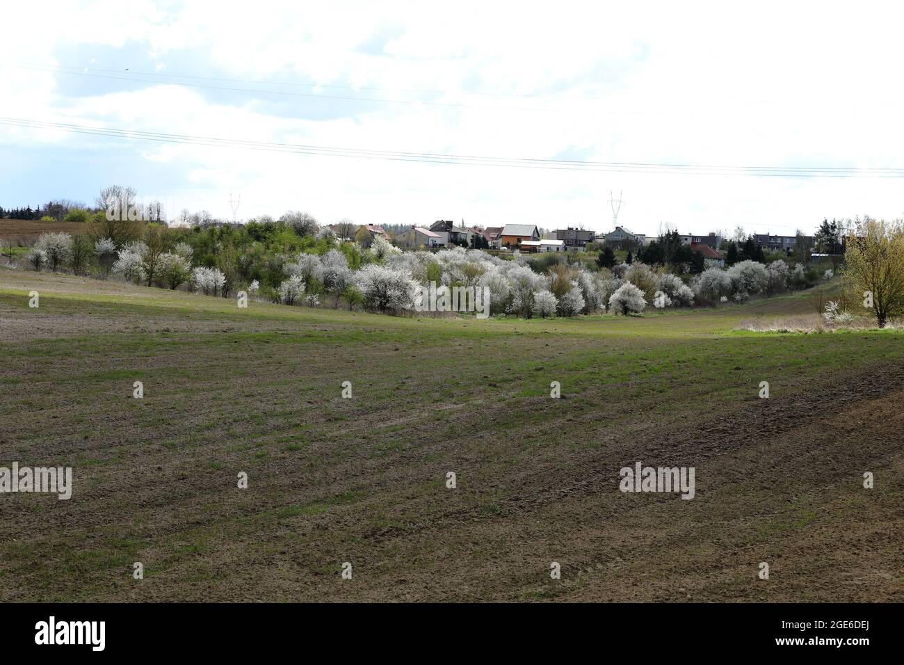 Agricultural fields with trees hi-res stock photography and images - Alamy