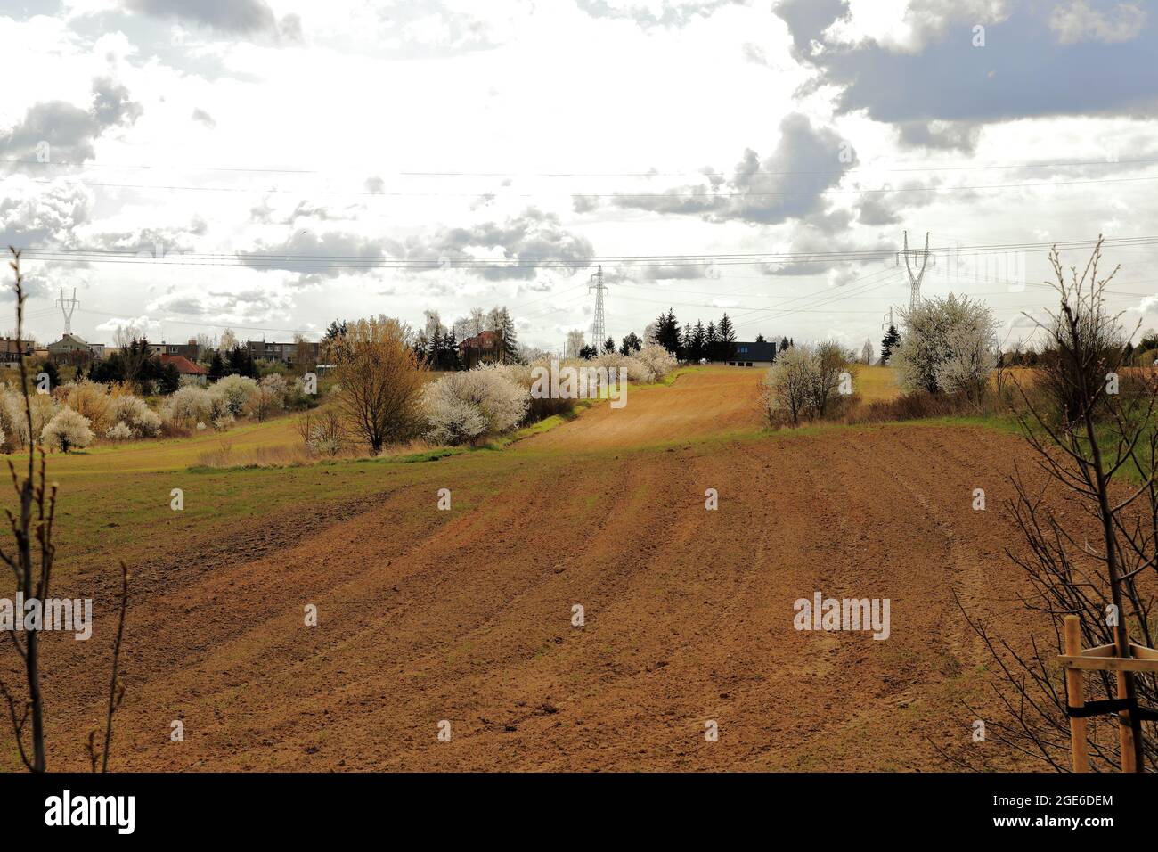 Agricultural fields with trees hi-res stock photography and images - Alamy