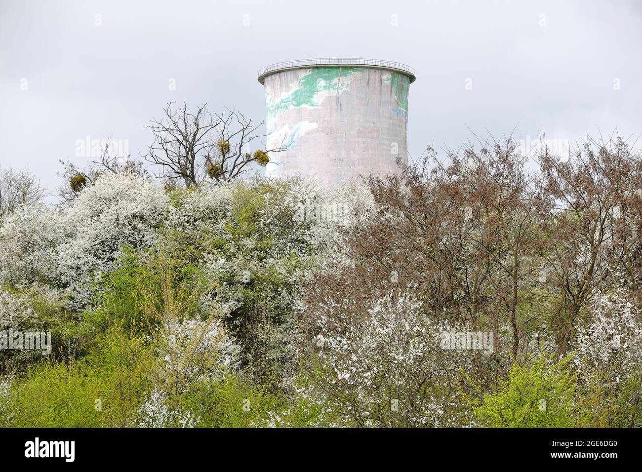 Huge cooling chimney for the release of steam in the municipal heat and ...