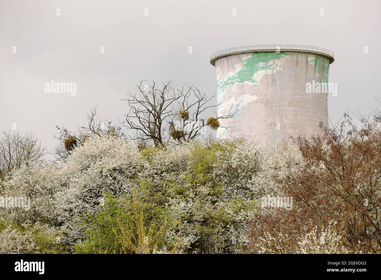 Huge cooling chimney for the release of steam in the municipal heat and ...