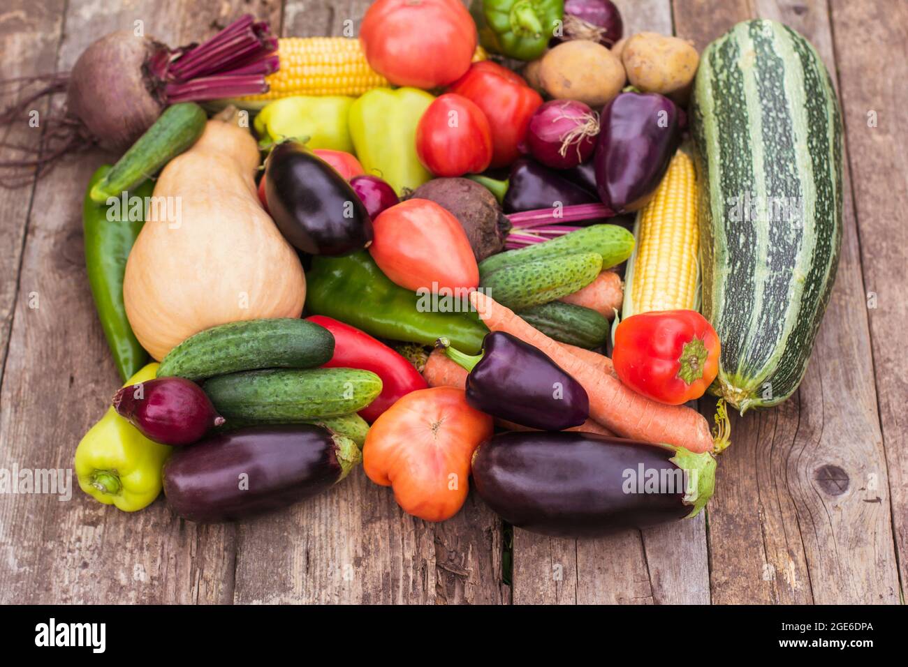 Close-up of a fresh crop of vegetables, a farmer's harvest, a vegetable ...