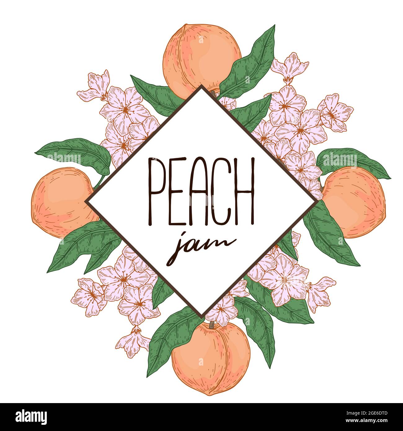 Hand drawn peach frame. Vector illustration in sketch style Stock ...