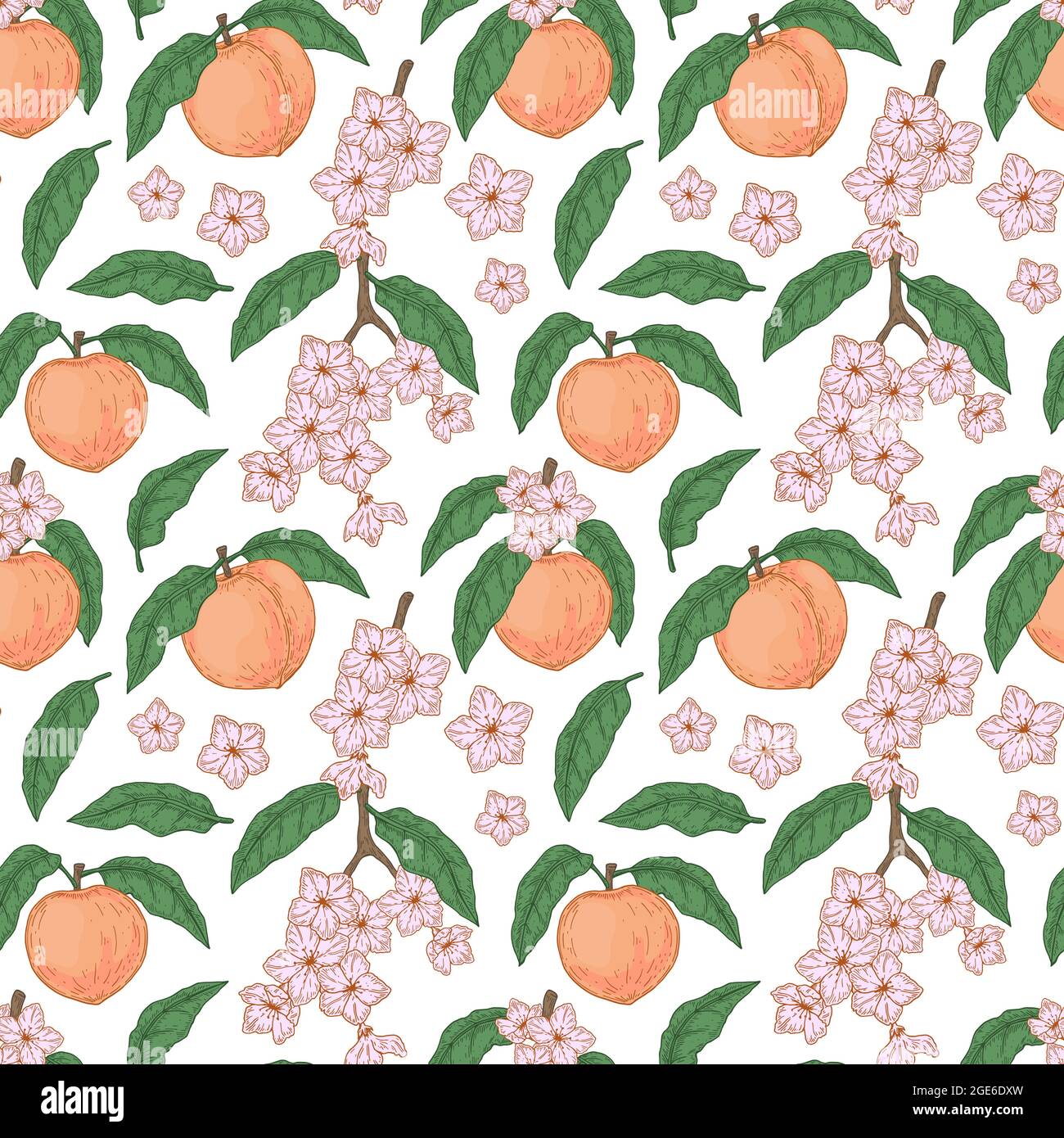 Hand drawn peach seamless pattern. Vector illustration Stock Vector ...