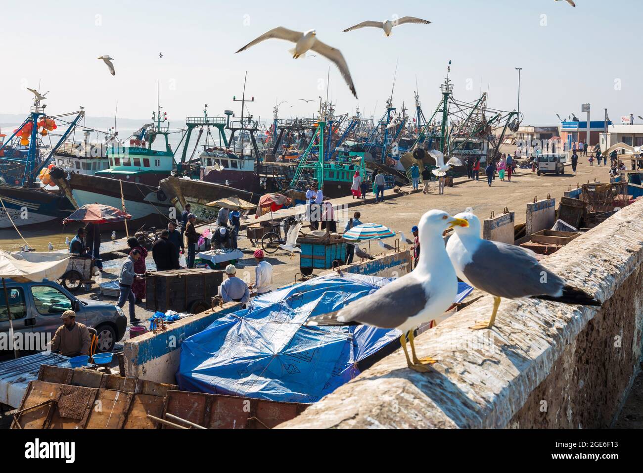 Morocco, Essaouira: typical fishing boats in the harbour along the ...