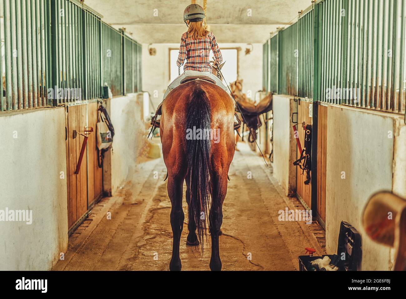 girl riding a horse in a stable Stock Photo - Alamy
