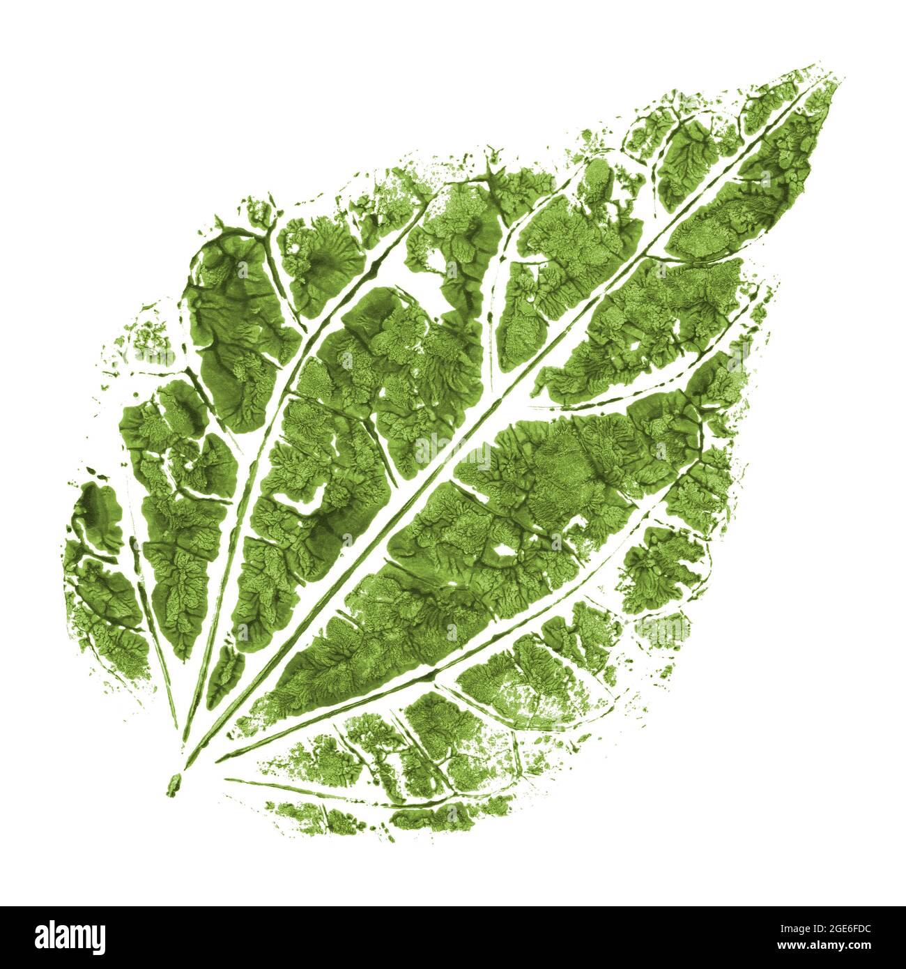 Original hand made leaf stamp, unique nature print Stock Photo - Alamy