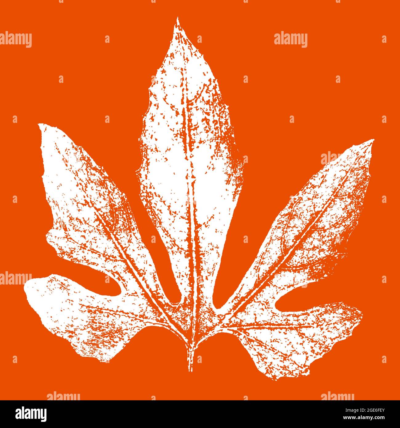 Original hand made leaf stamp, unique nature print Stock Photo - Alamy