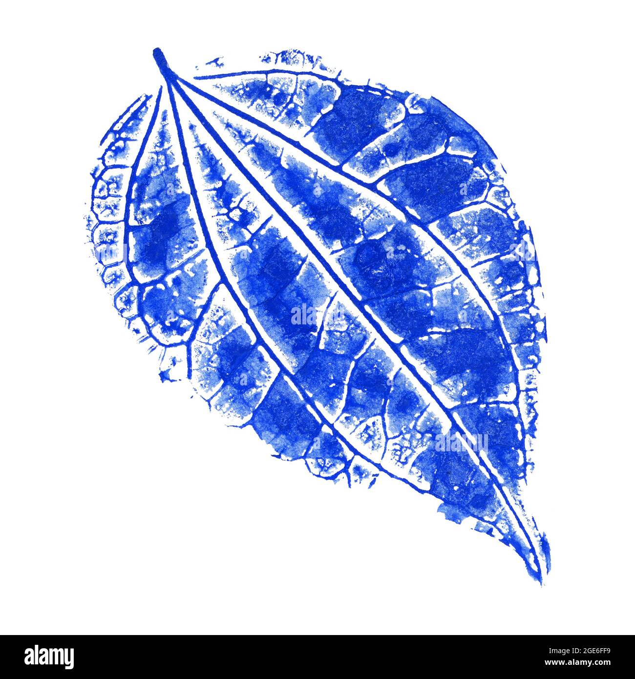 Original hand made leaf stamp, unique nature print Stock Photo - Alamy