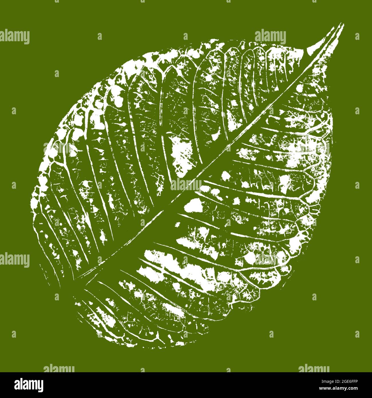 Original hand made leaf stamp, unique nature print Stock Photo - Alamy