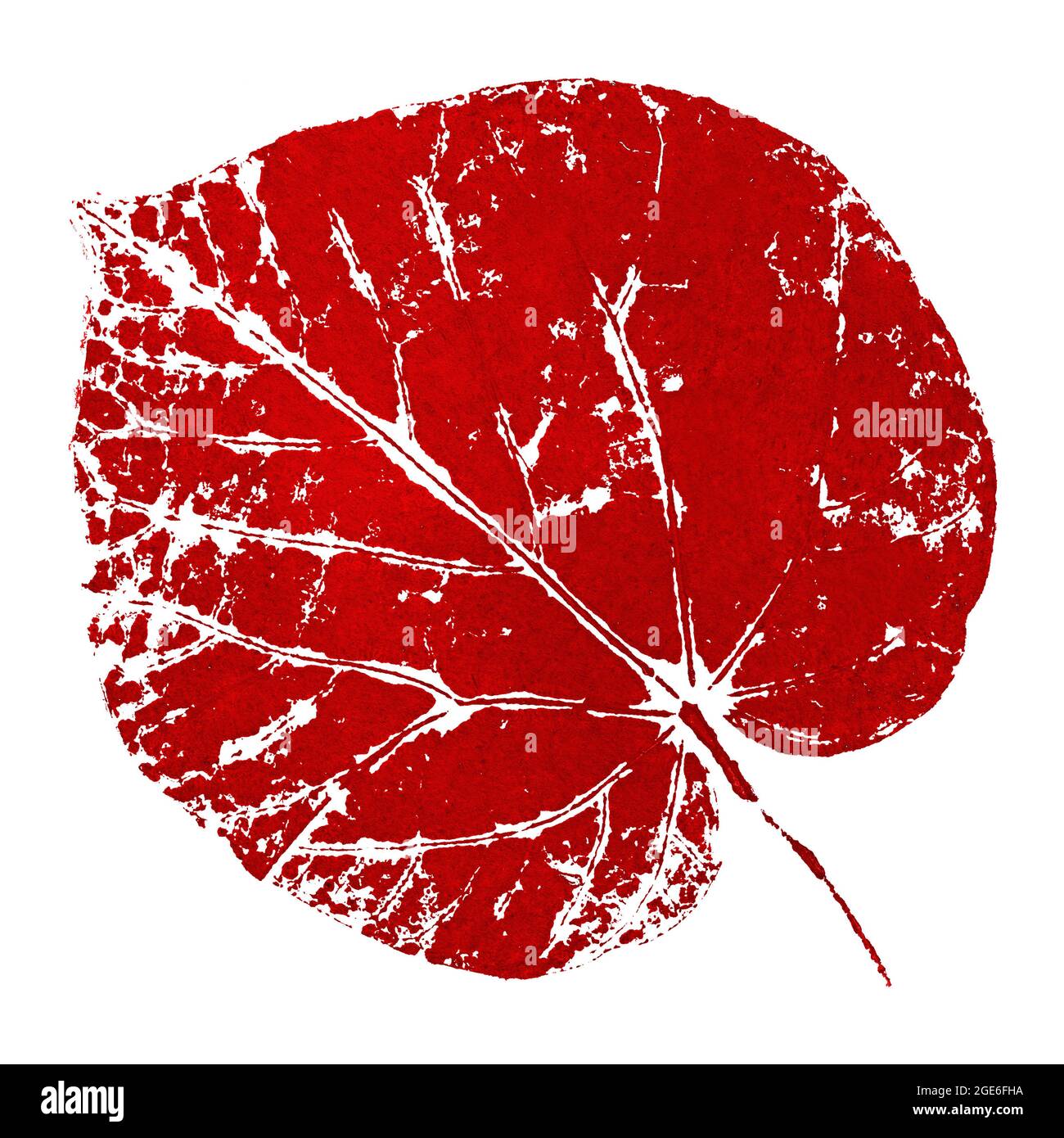 Nature stamp hi-res stock photography and images - Alamy