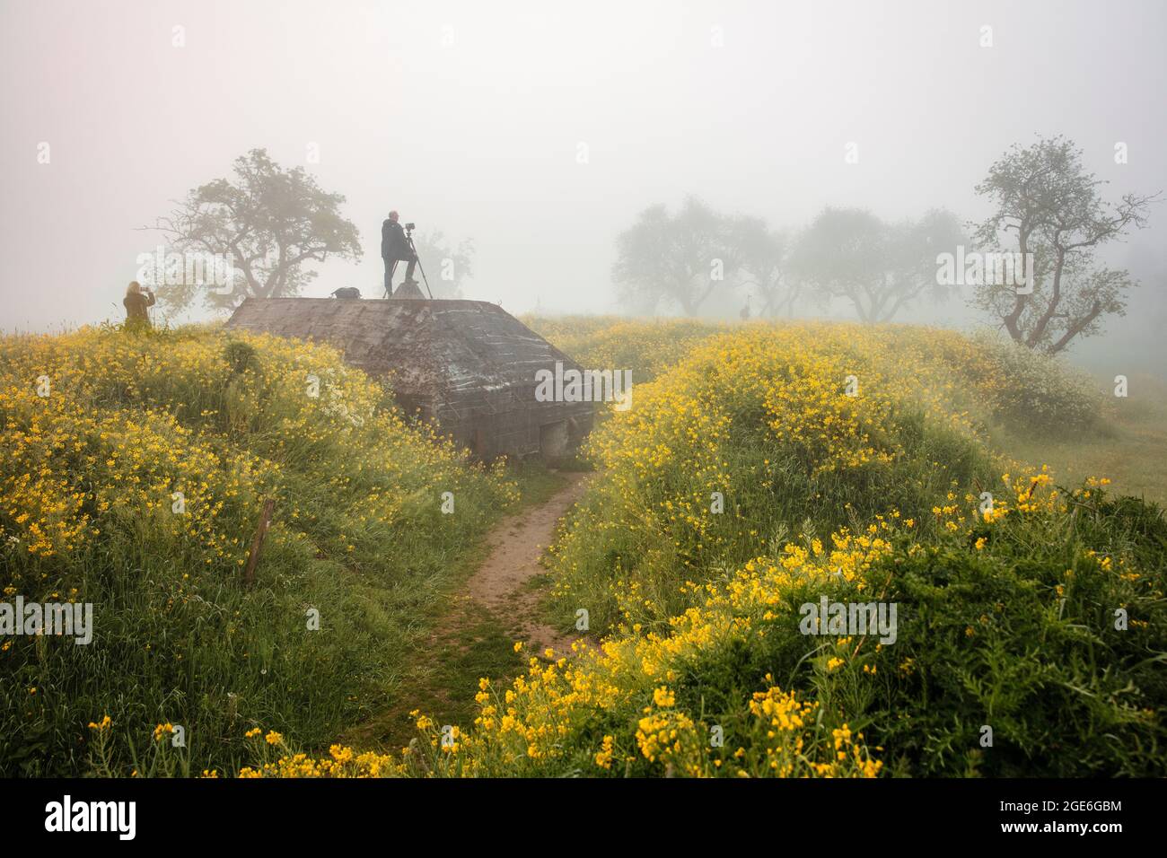 The Netherlands, Schalkwijk, Werk aan de Groeneweg, part of the New ...