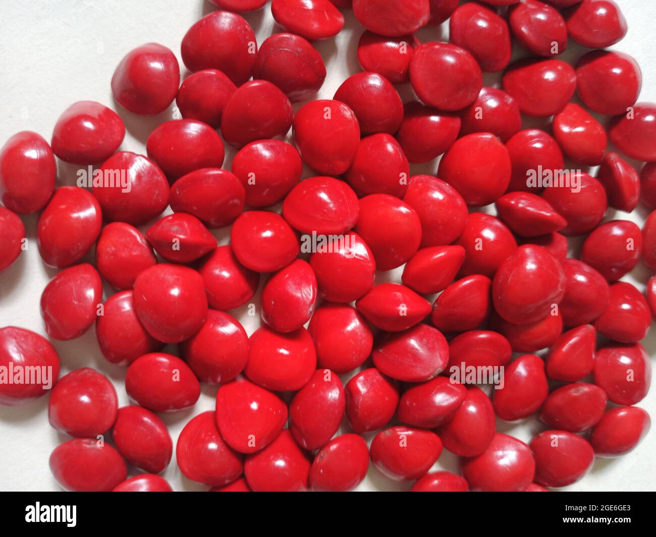 Bright red Saga Seed/Acacia beans Stock Photo - Alamy
