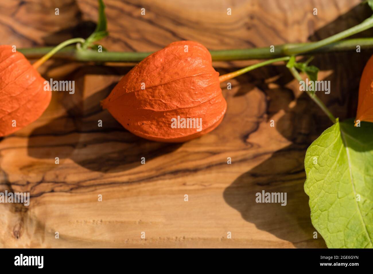 The orange fruit Physalis peruviana Stock Photo - Alamy