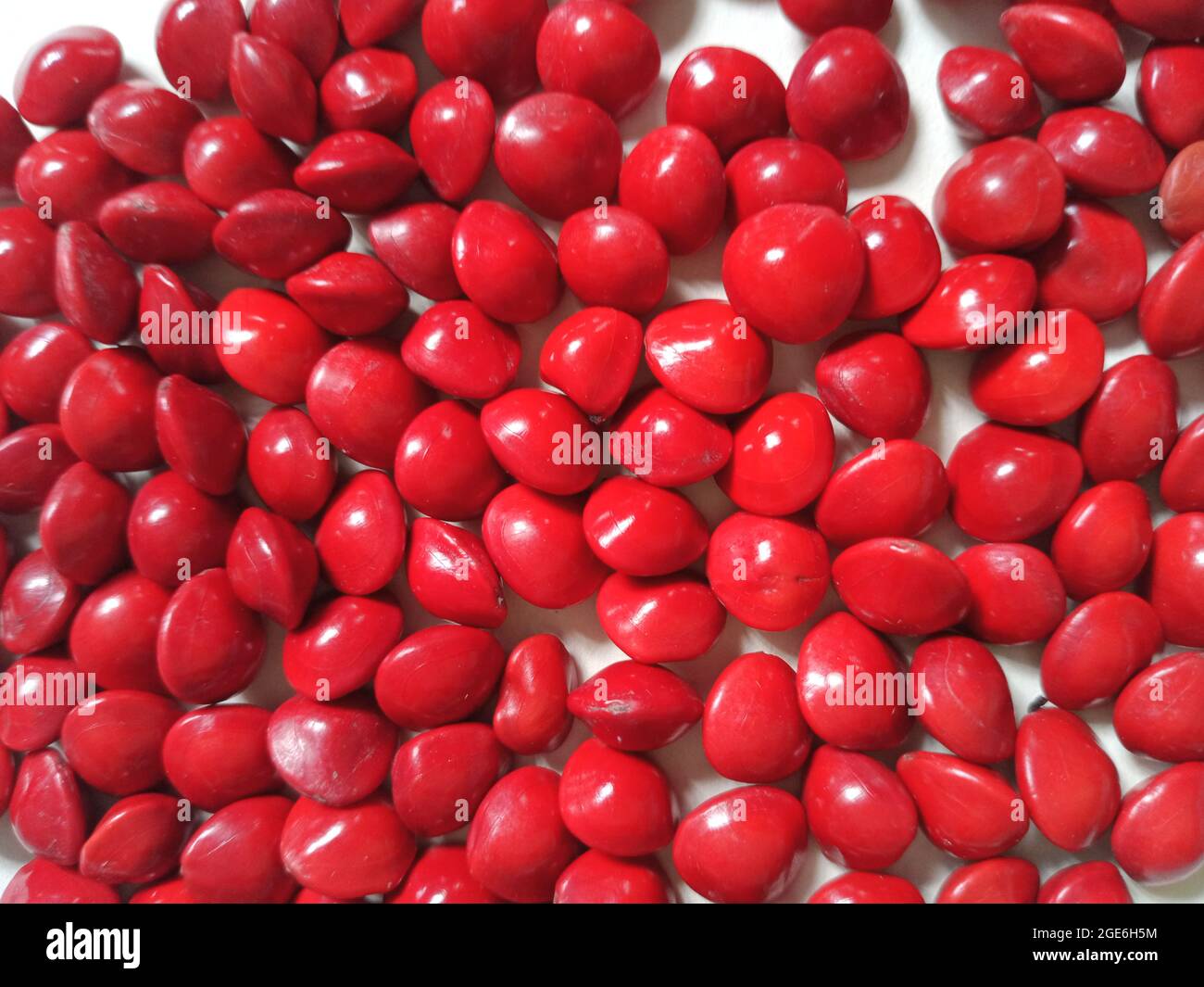 Red acacia beans hi-res stock photography and images - Alamy