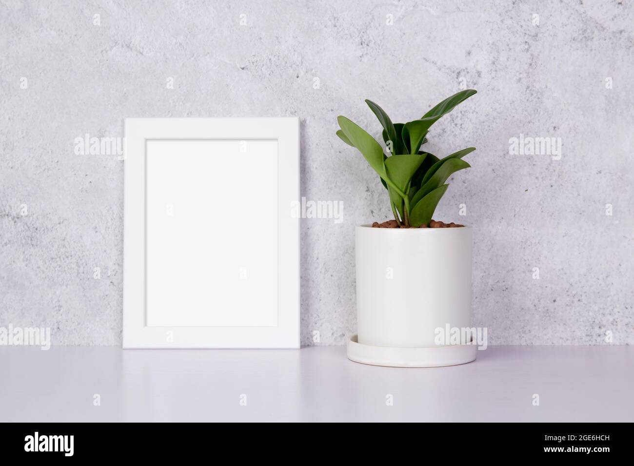 Mockup white frame vertical and plants in pot on table top at home ...