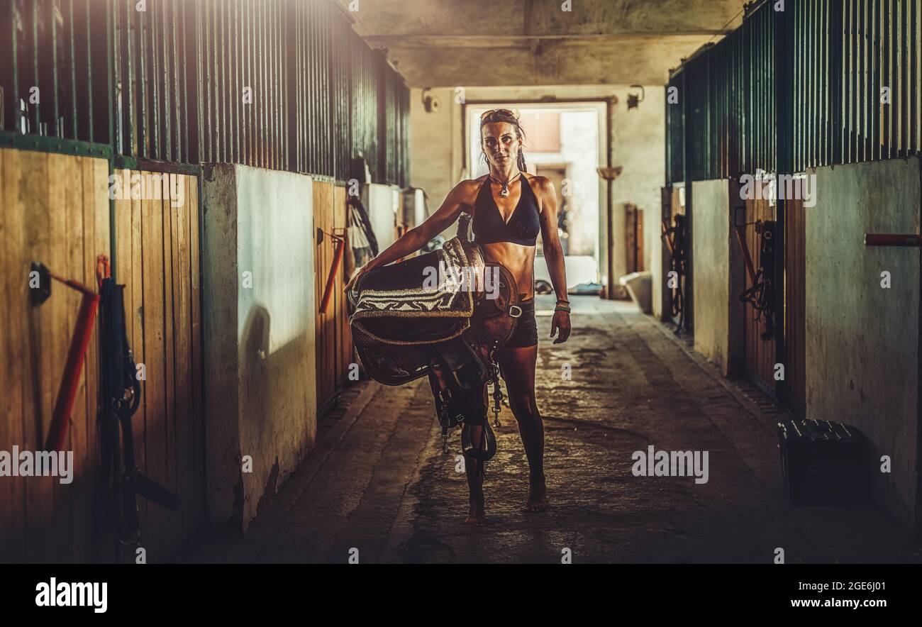 woman in stable and beautiful horse saddl Stock Photo - Alamy