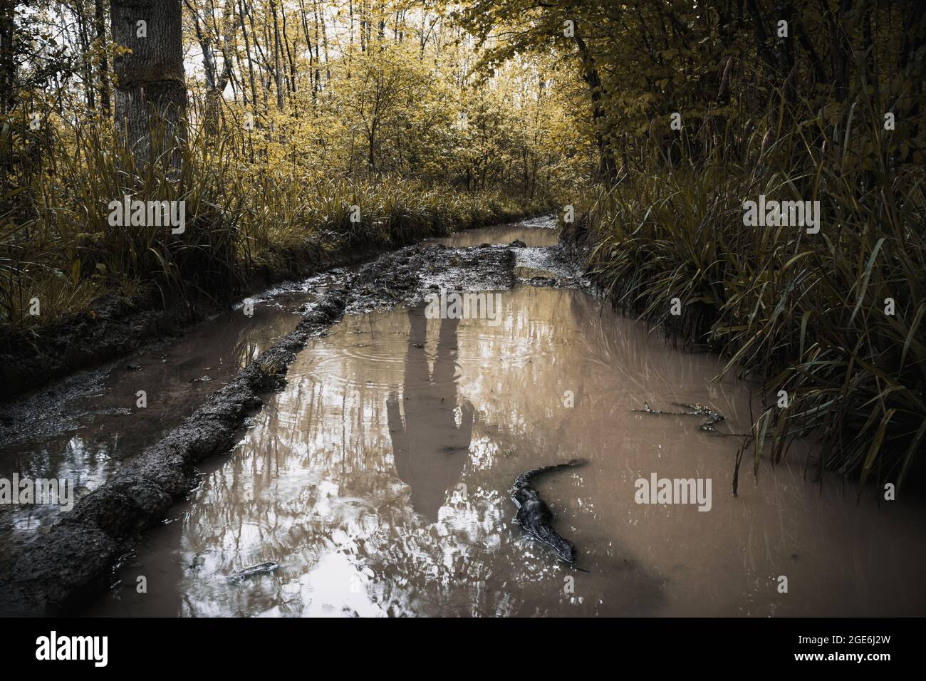A horror concept. Of a transparent figure, reflected in a puddle. In a ...