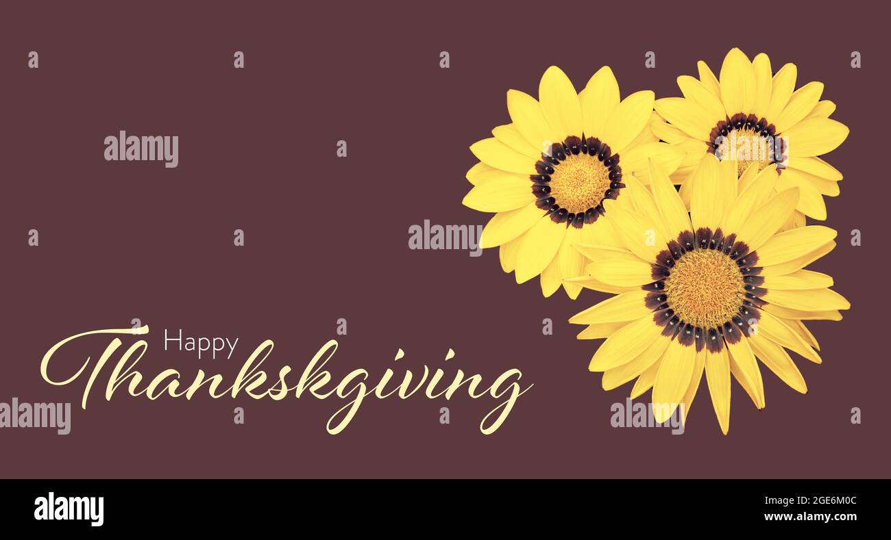 Happy thanksgiving card hi-res stock photography and images - Alamy