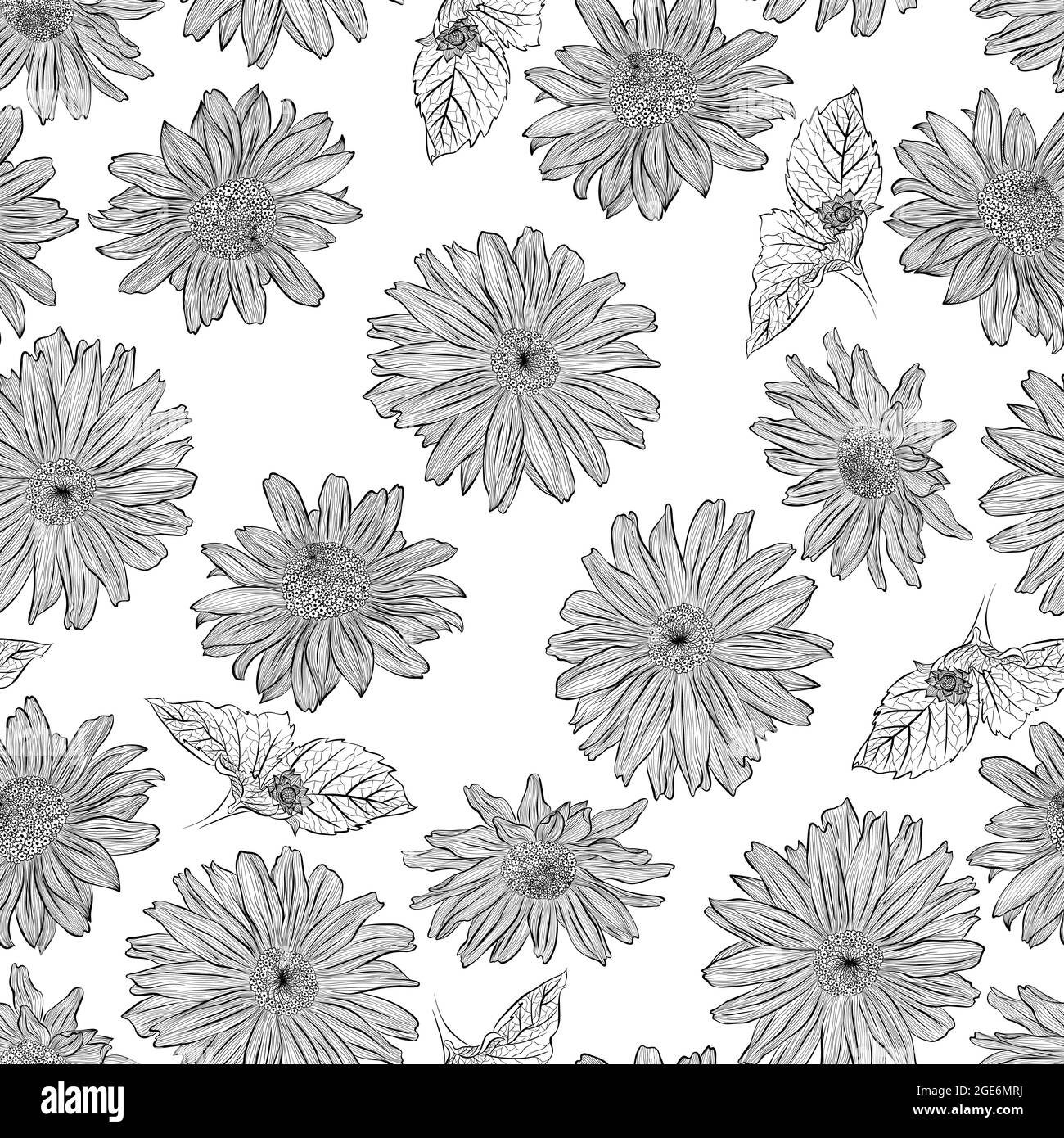 Pattern with heliopsis Stock Vector Image & Art - Alamy