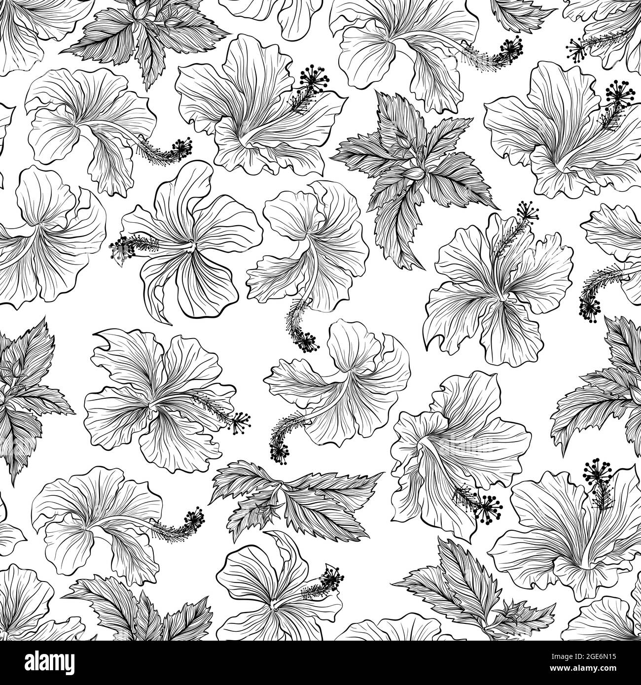 Pattern with hibiscus Stock Vector Image & Art - Alamy