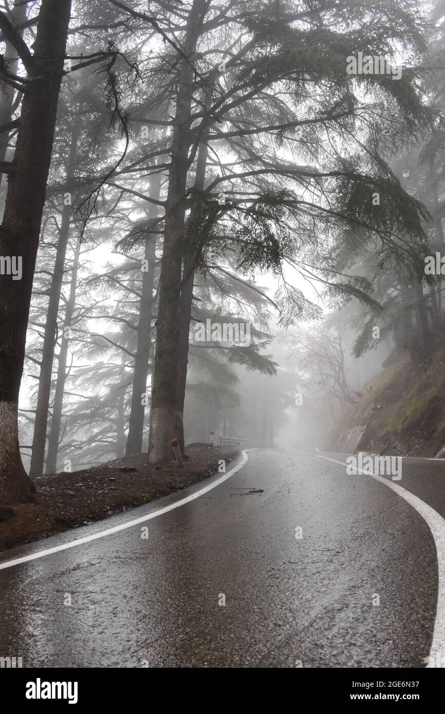 Chrea algeria hi-res stock photography and images - Alamy