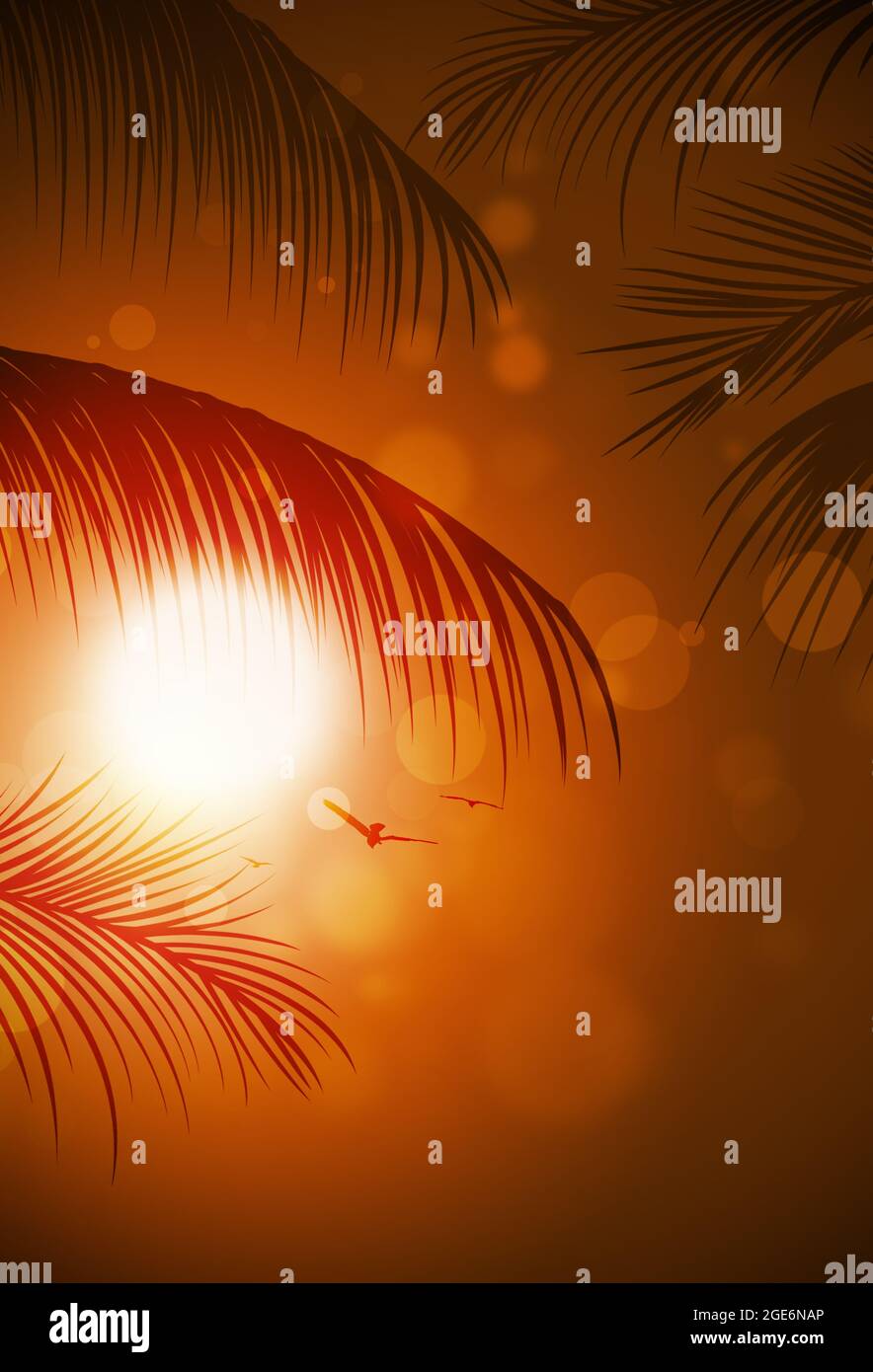 chilling nature sunset background with palm trees and blurry lights ...