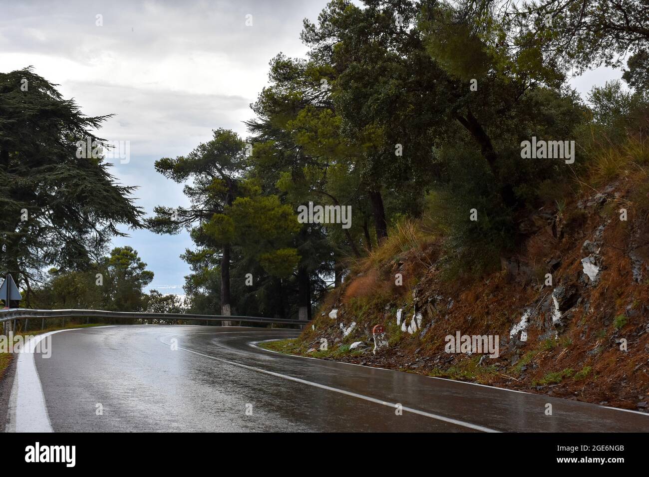 Blida algeria hi-res stock photography and images - Alamy