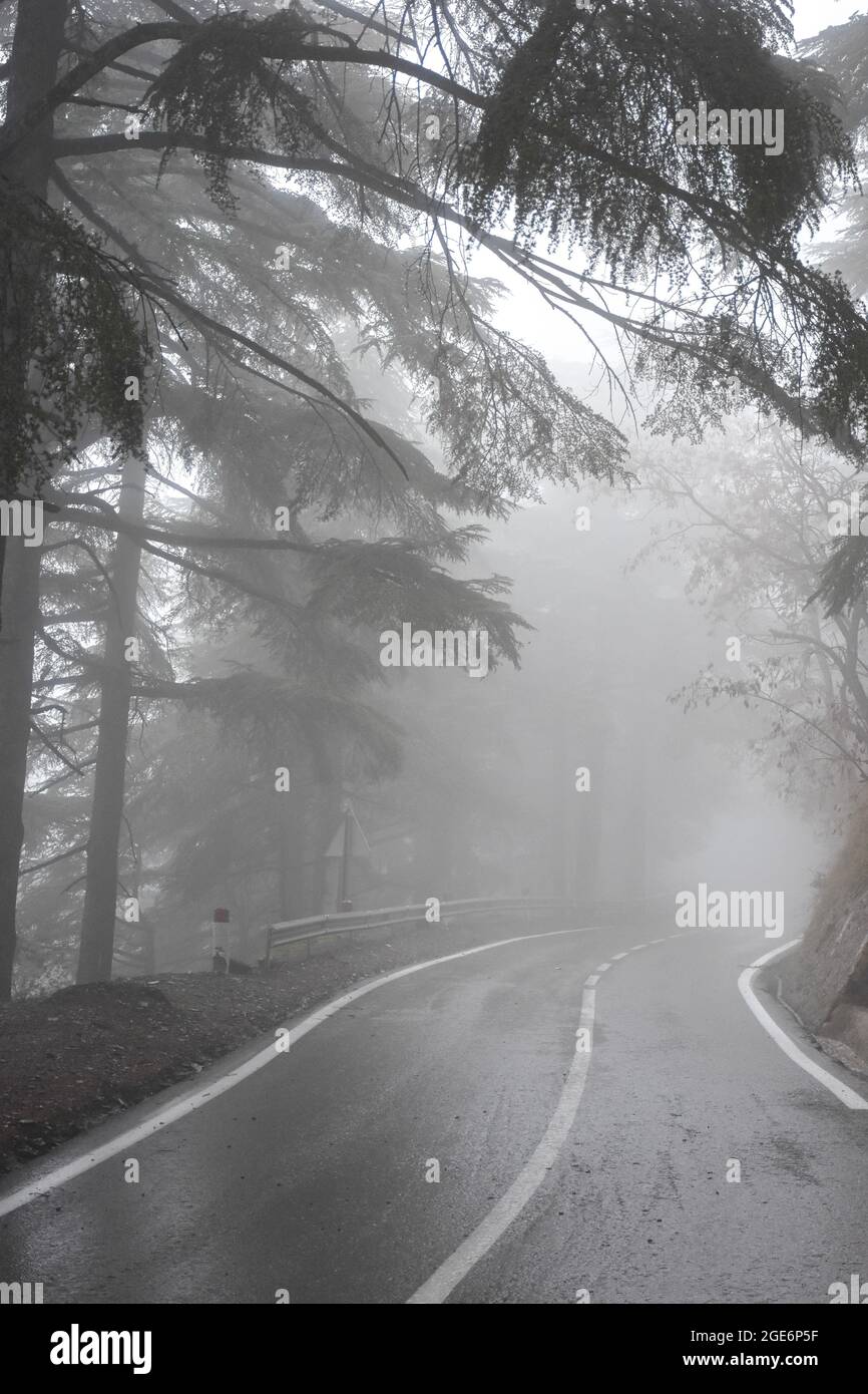 Chrea algeria hi-res stock photography and images - Alamy