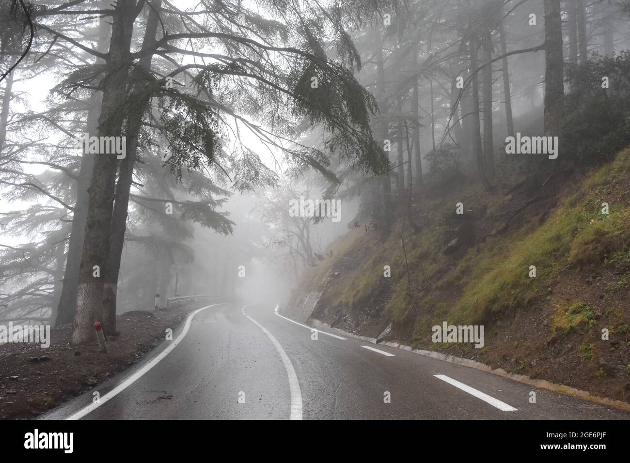 Road rainy hi-res stock photography and images - Alamy